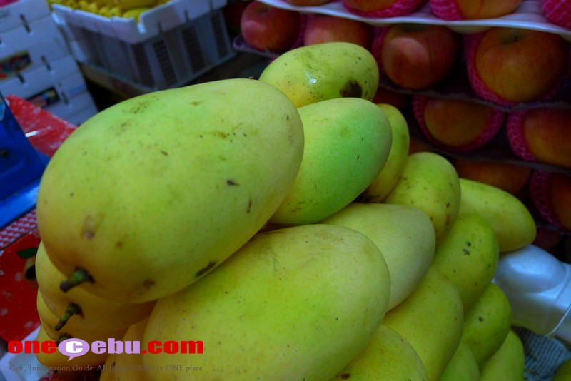 Food: Cebu Mangoes - OneCebu.com